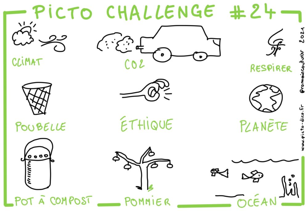 PictoChallenge n°24 spécial Ecologie - Picto Dico